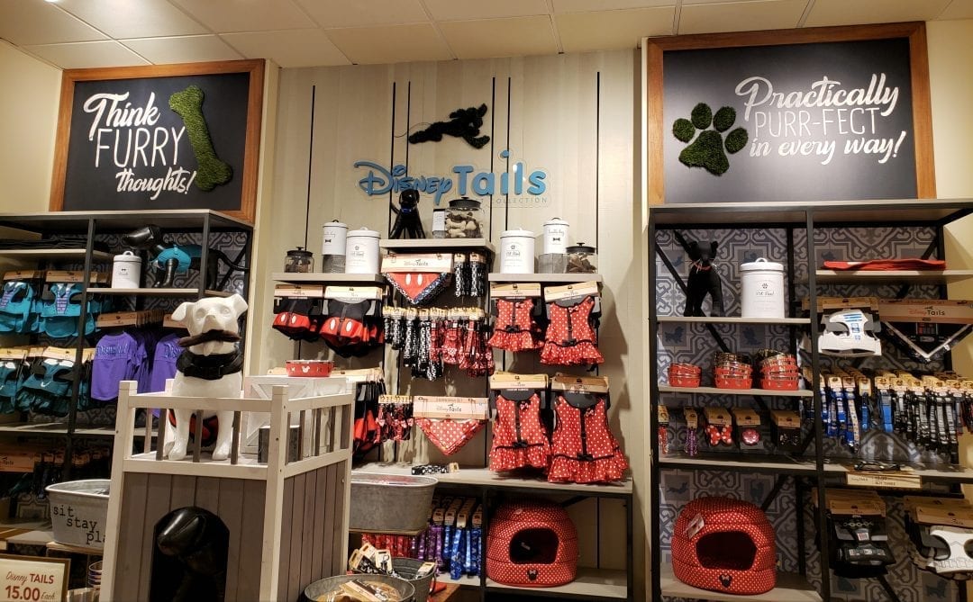 Disney Tails Creating Fashionable Pets - A Dream Is A Wish Our Blog Makes