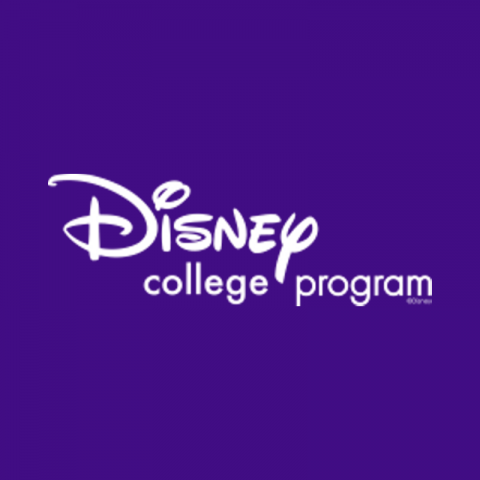 Disney Education | A Dream Is A Wish Our Blog Makes